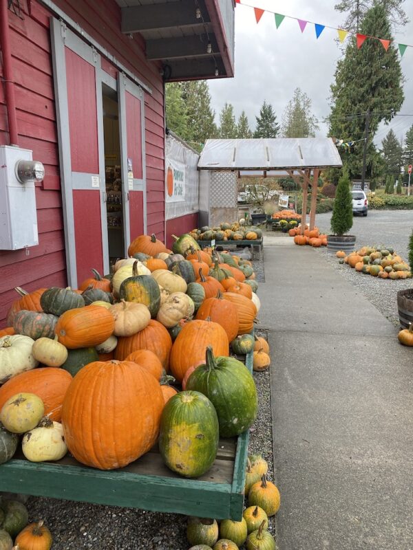 22 Family Fall Traditions – Home Has My Heart